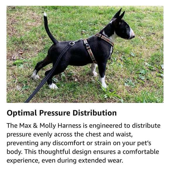 Max and Molly Urban Pets | Dog | Max And Molly Comic Dog Hharness ...